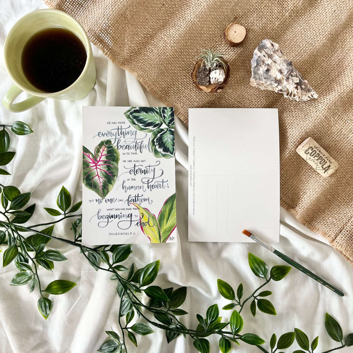 Postcards of CELEBRATION | Set of 6 – Studio Seck